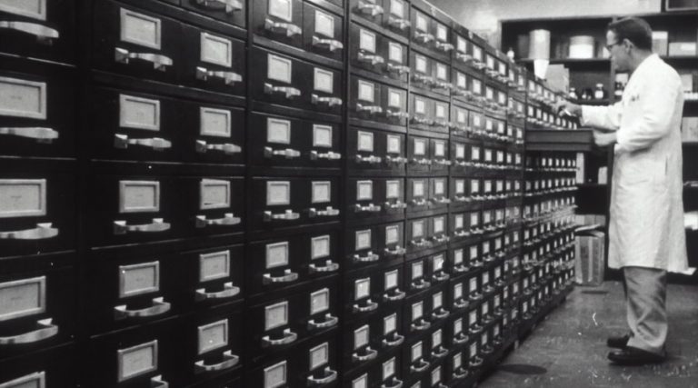 AusTender: How To Find Your Next Business Opportunity